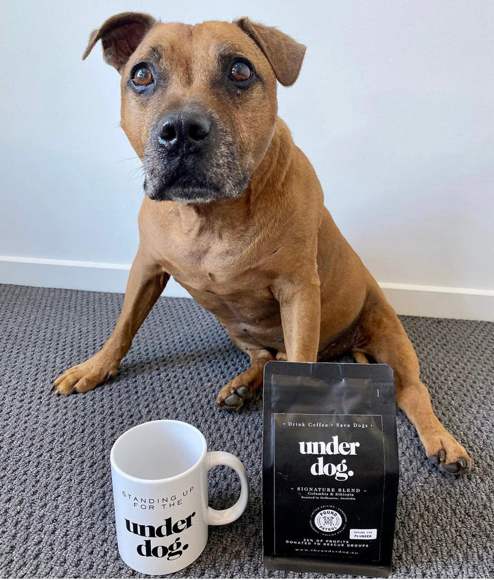 Signature Blend – The Underdog Company